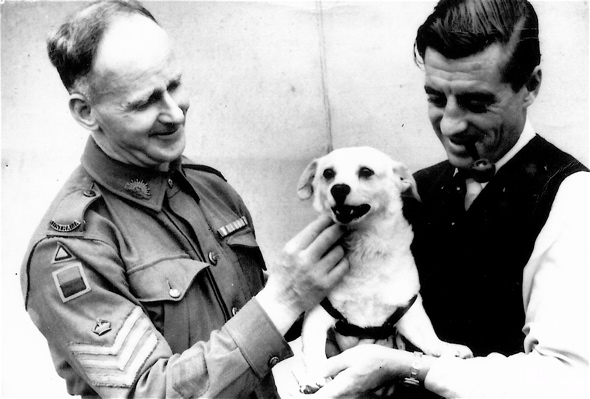 Animal Heroes