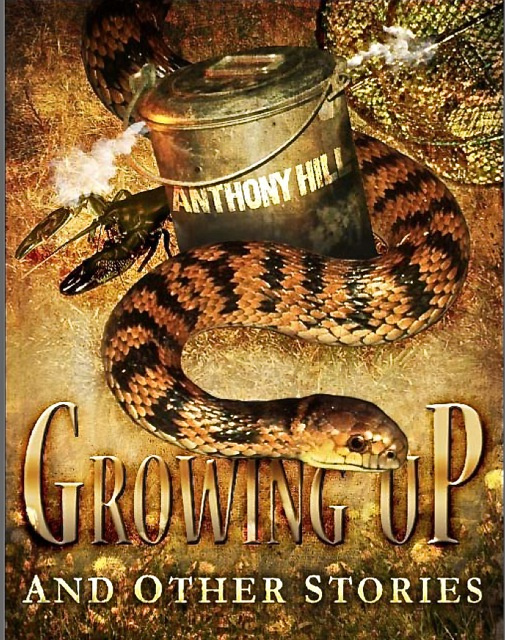 Click on the covers for details, notes and links on each book